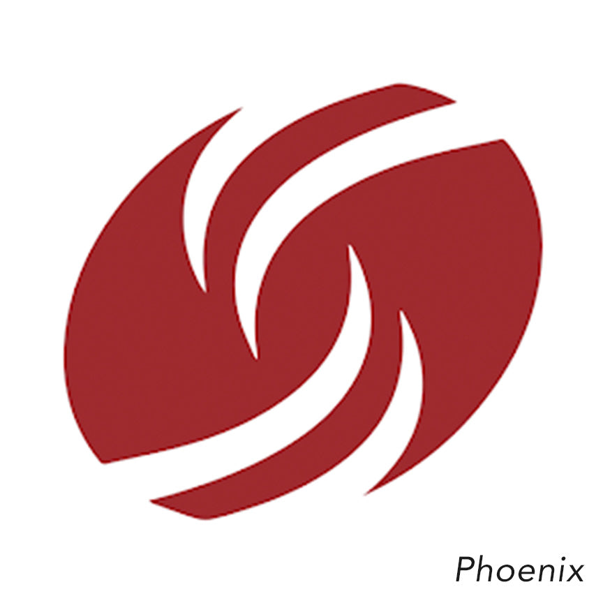 Dress for Success Phoenix